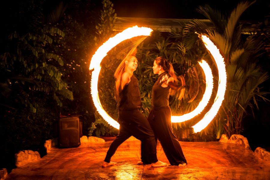 Night Safari’s 30th Anniversary - Night Safari