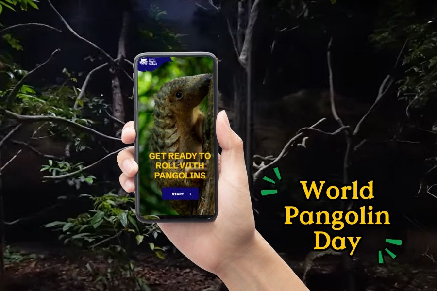 Events: What's On at Our Parks | Mandai Wildlife Reserve