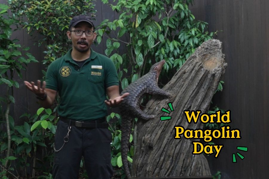 Events: What's On at Our Parks | Mandai Wildlife Reserve