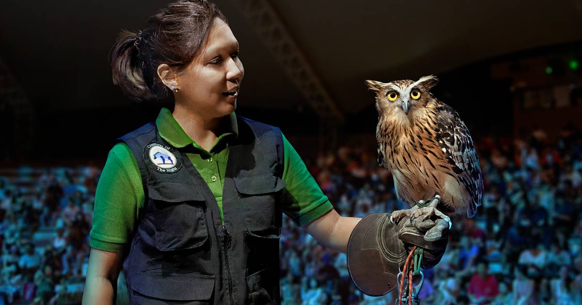 Book Presentation Seats | Mandai Wildlife Reserve