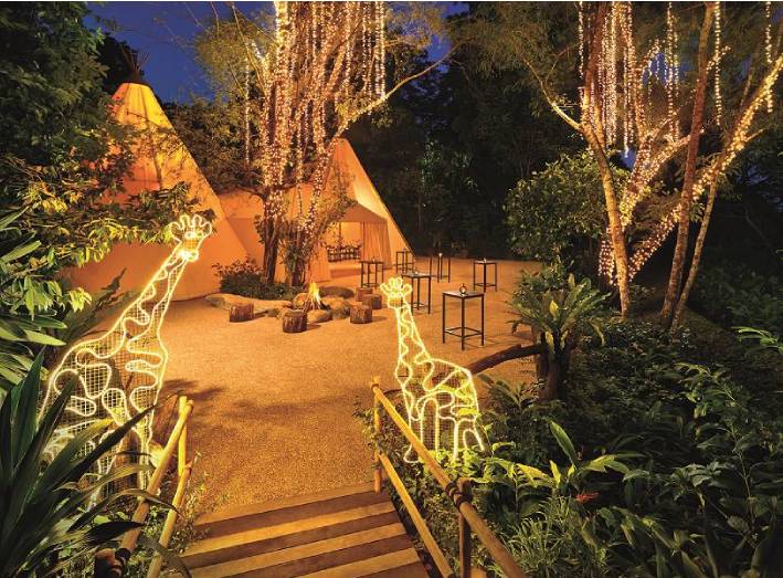 Night Safari Singapore | Mandai Wildlife Reserve