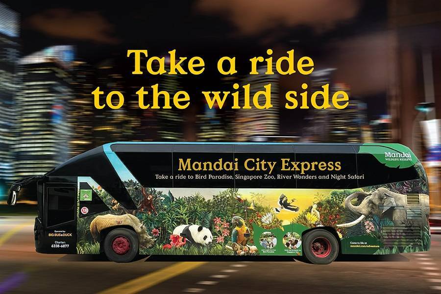 Getting to the Mandai Wildlife Reserve | Mandai Wildlife Reserve