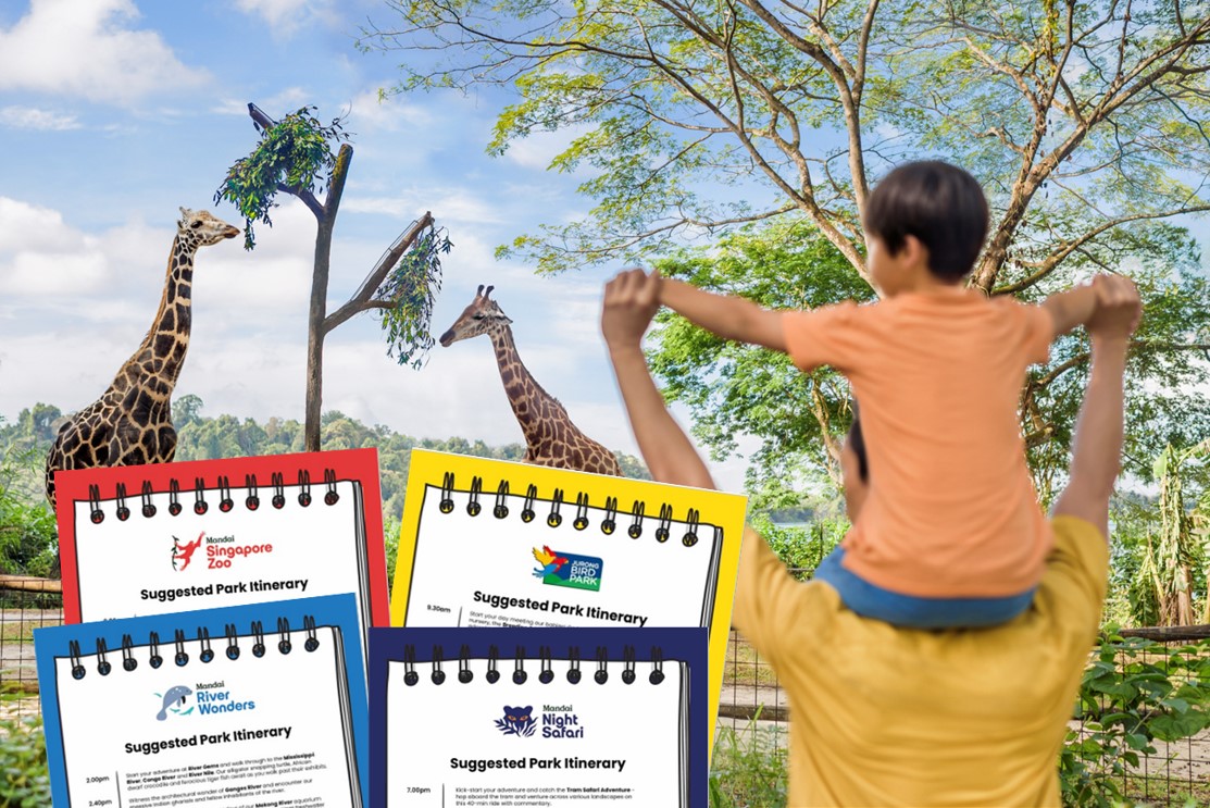 A Wild World Awaits You | Mandai Wildlife Reserve