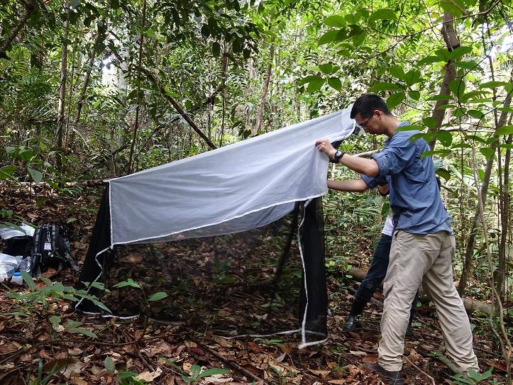 Over Half A Million Dollars in Research Grants Awarded by Mandai Park Development for ...