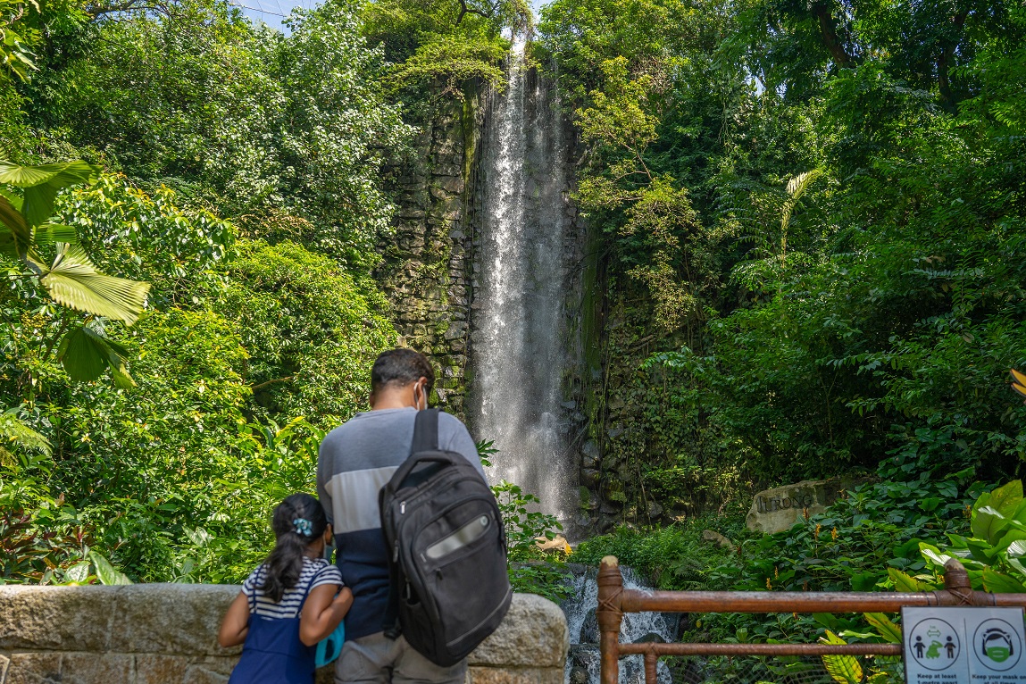 Jurong Bird Park celebrates its final flight with an invitation for all ...