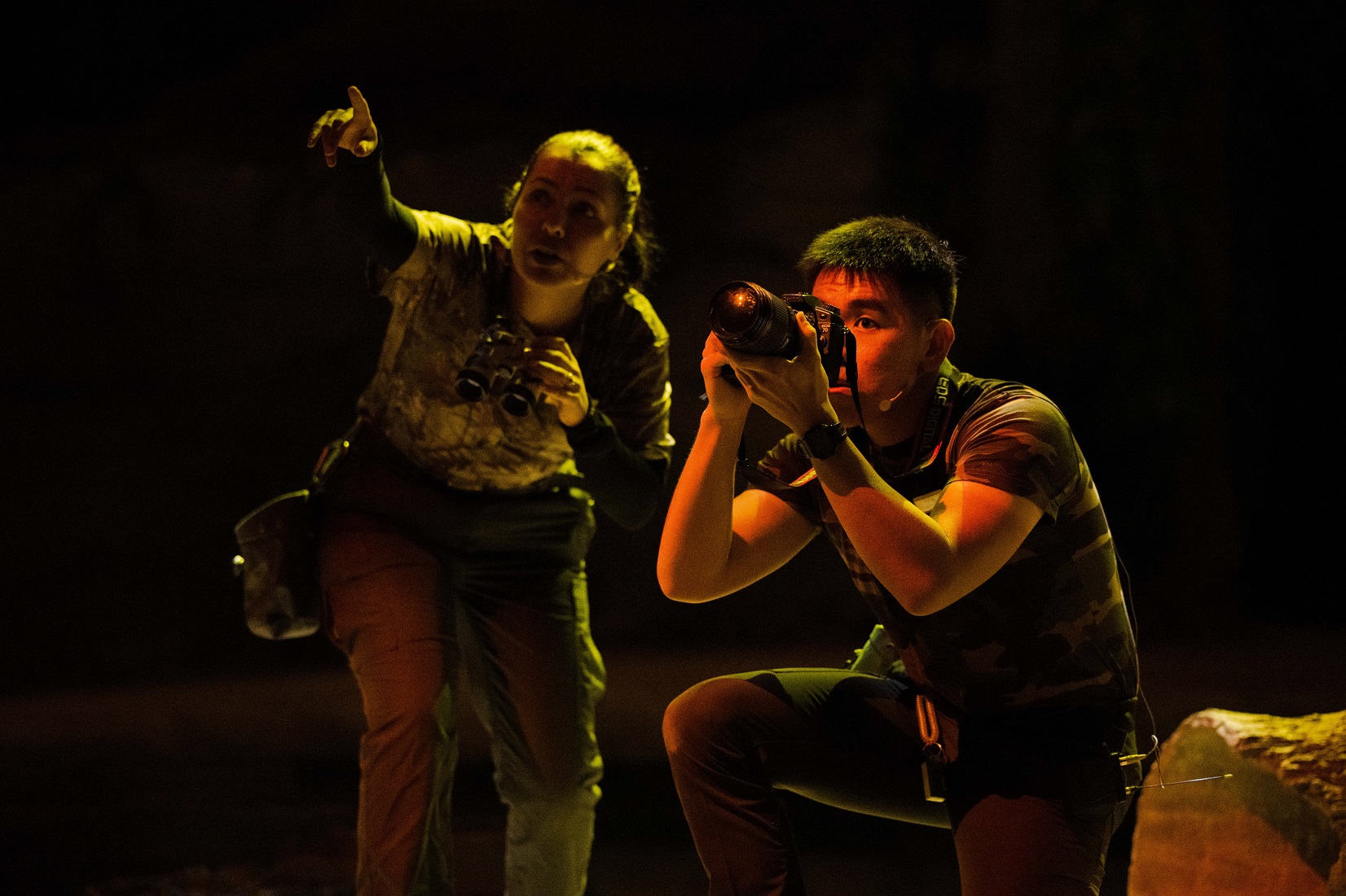 New amphitheatre for Singapore's Night safari and a revamped Creatures ...