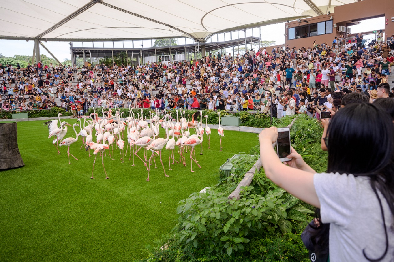 Bird Paradise welcomes first guests at the soft opening of Singapore's ...