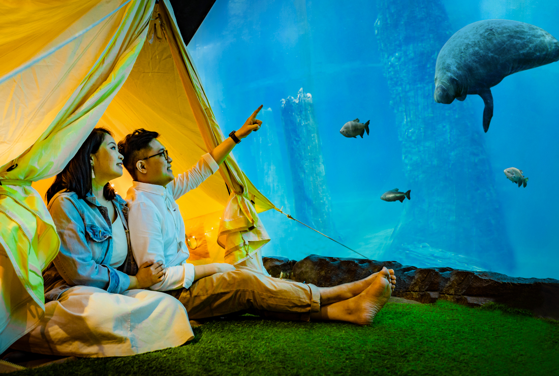 Go on a wild getaway with Singapore Zoo's Glamping in the Wild