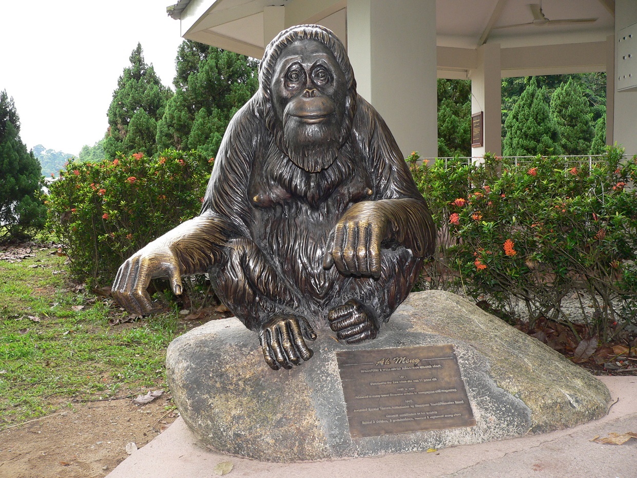 Singapore Zoo celebrates its Golden Jubilee