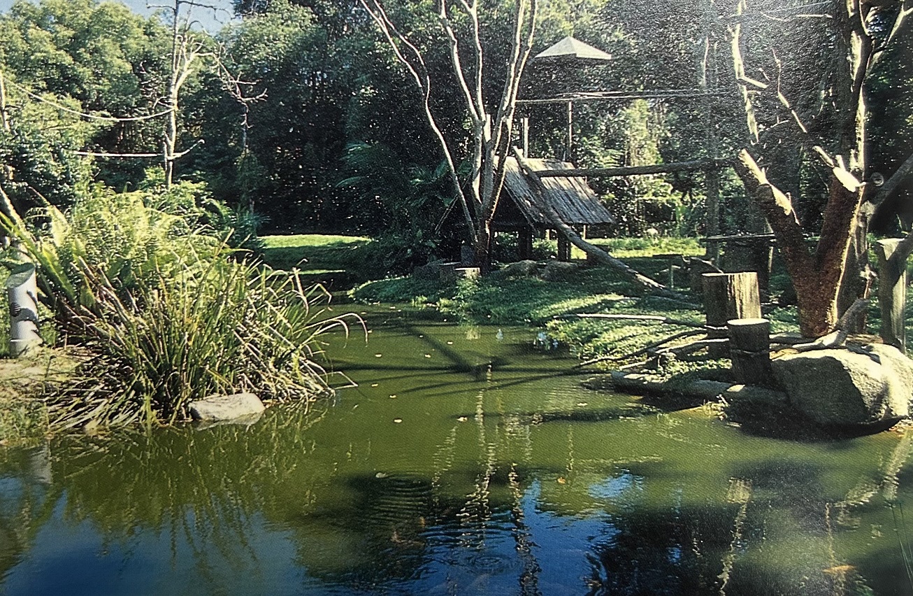Singapore Zoo celebrates its Golden Jubilee