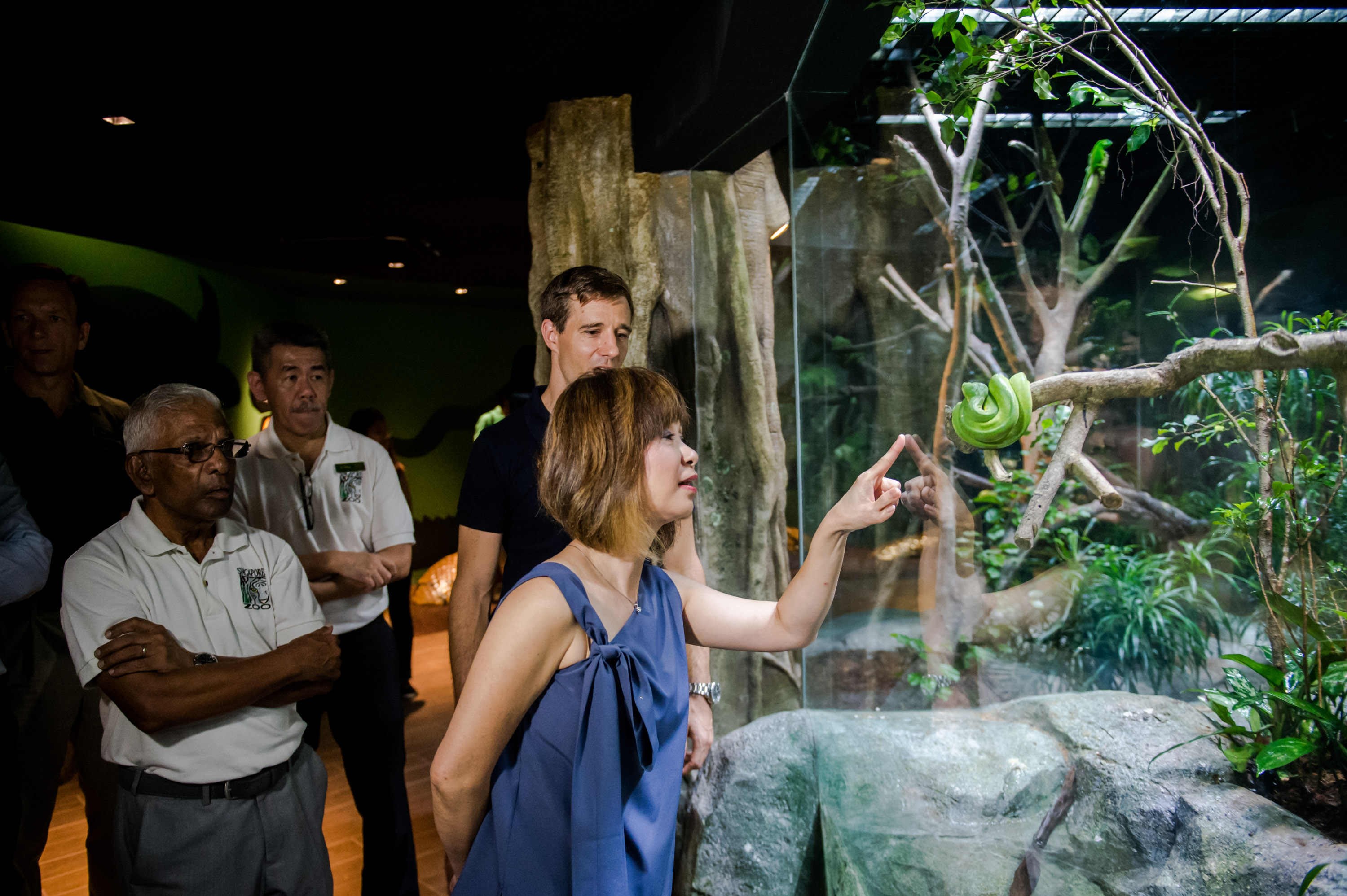 Singapore Zoo celebrates its Golden Jubilee