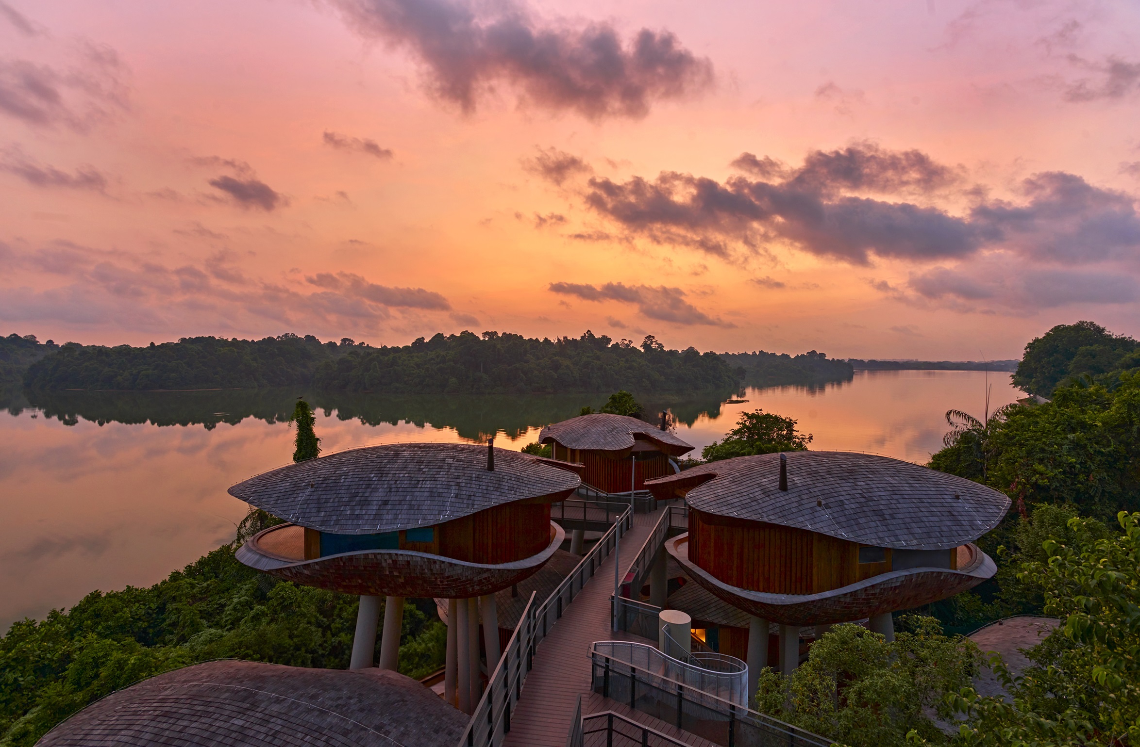 Escape the urban jungle for a forest-stay at the Mandai Wildlife Reserve