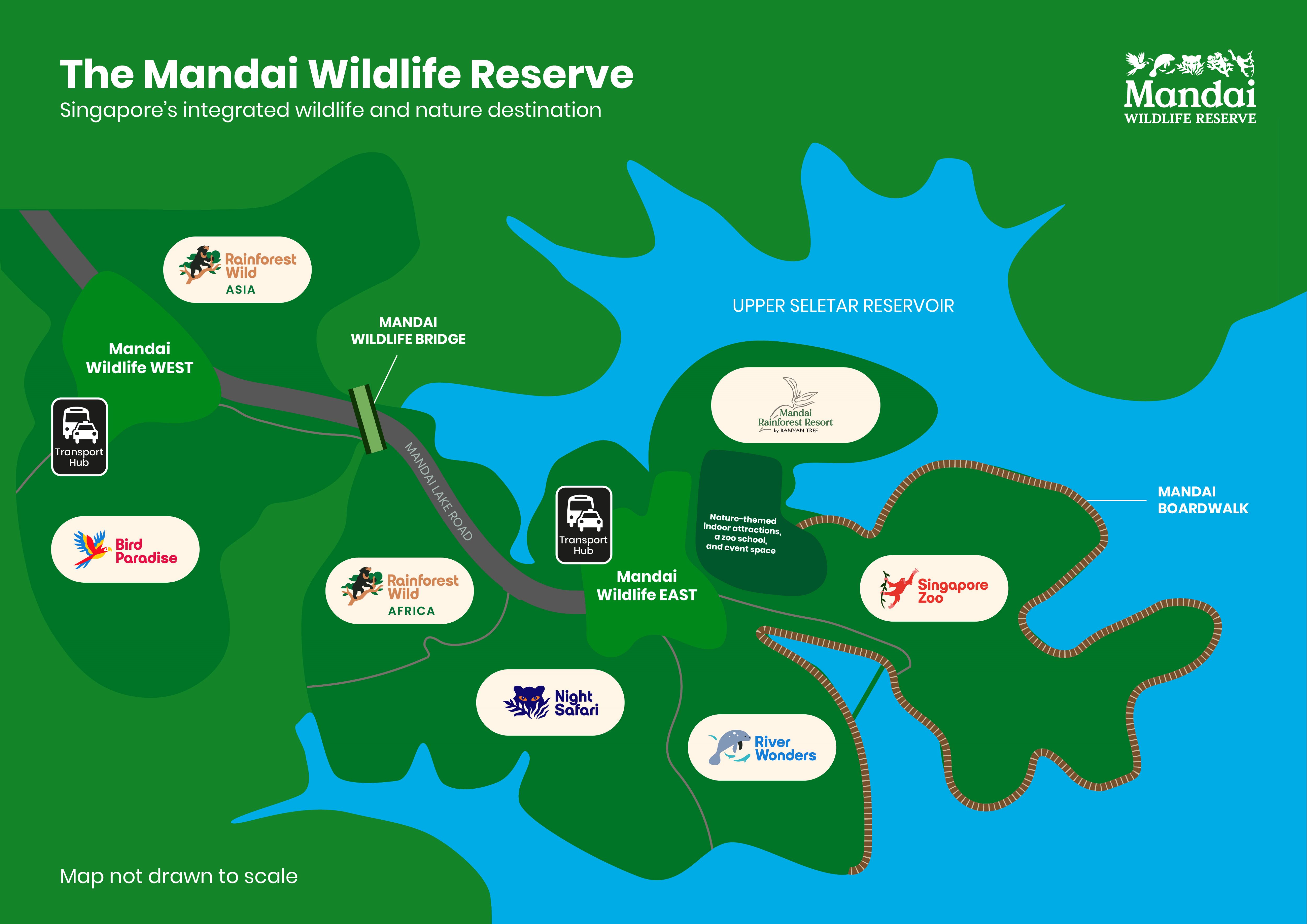 Public lawns at the Mandai Wildlife Reserve set for first-ever pawsome ...