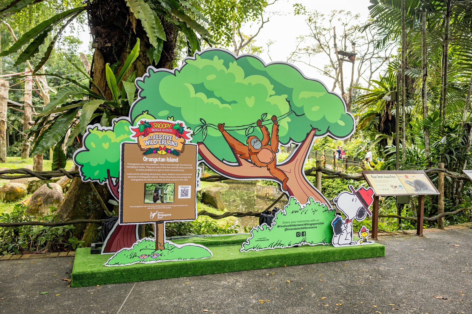 Join Snoopy and Friends on an unforgettable adventure at the Mandai ...