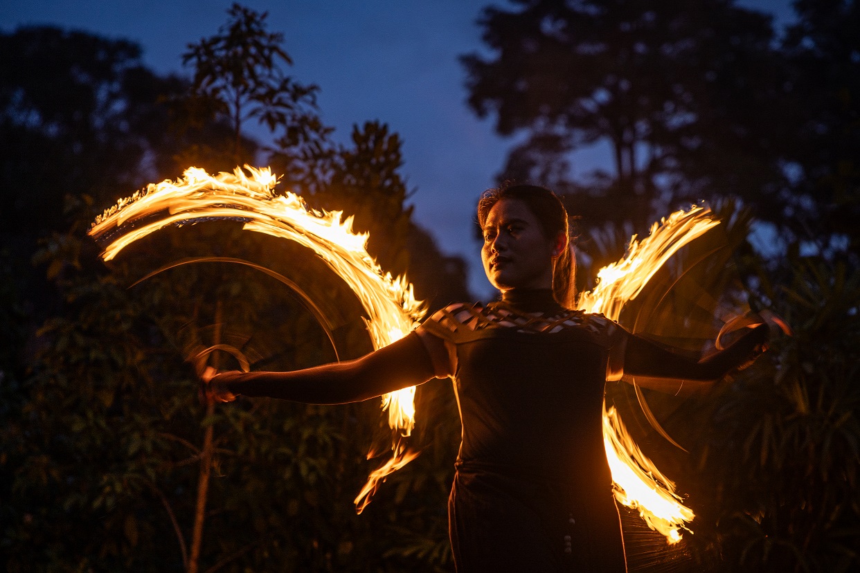 Revel in Zoolympix action, a nocturnal birthday bash and avian wonders ...