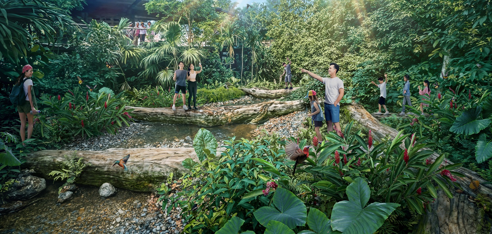 Singapore's fifth wildlife park, Rainforest Wild Asia, to open in March ...