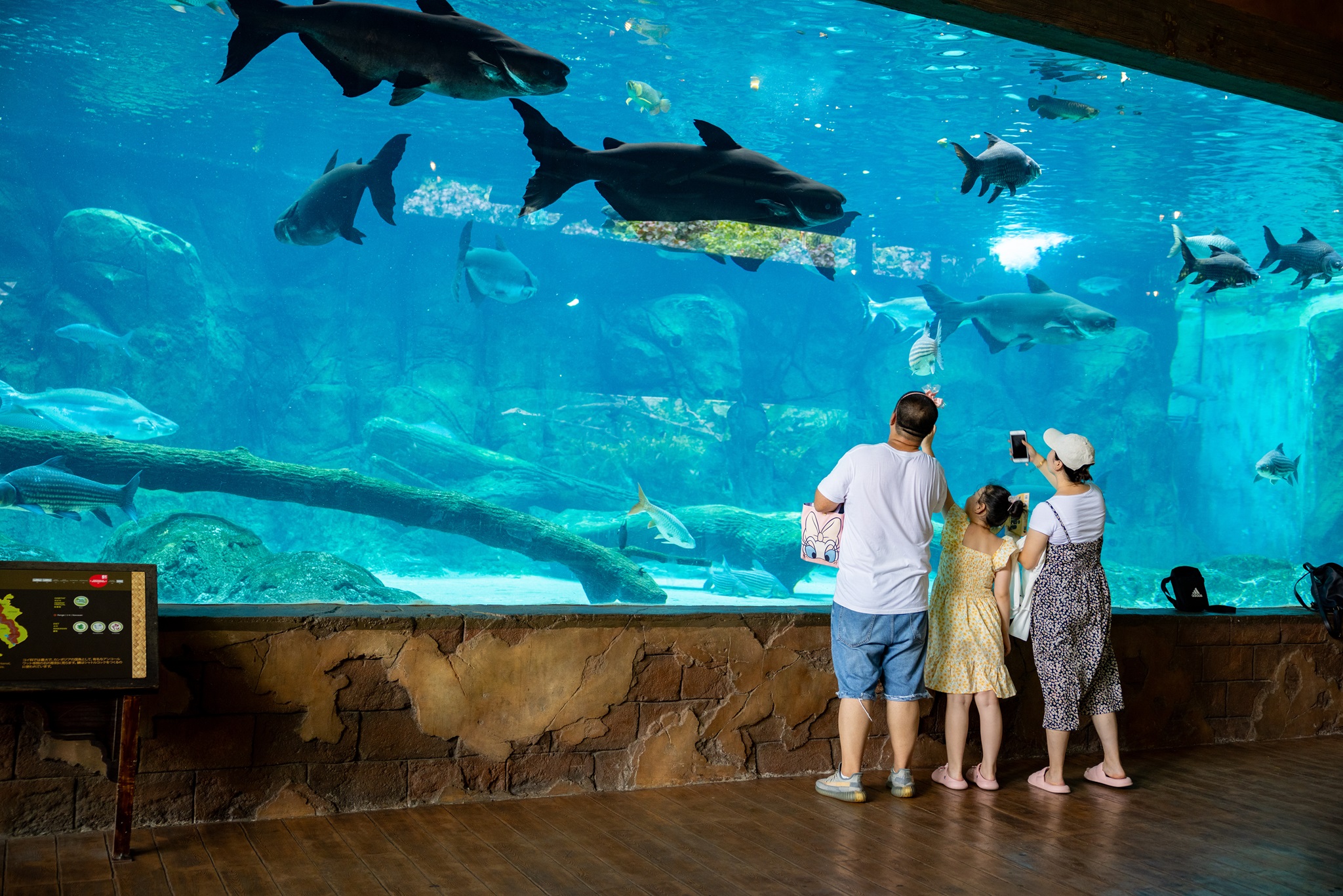 River Wonders celebrates 10 years of aquatic wonders