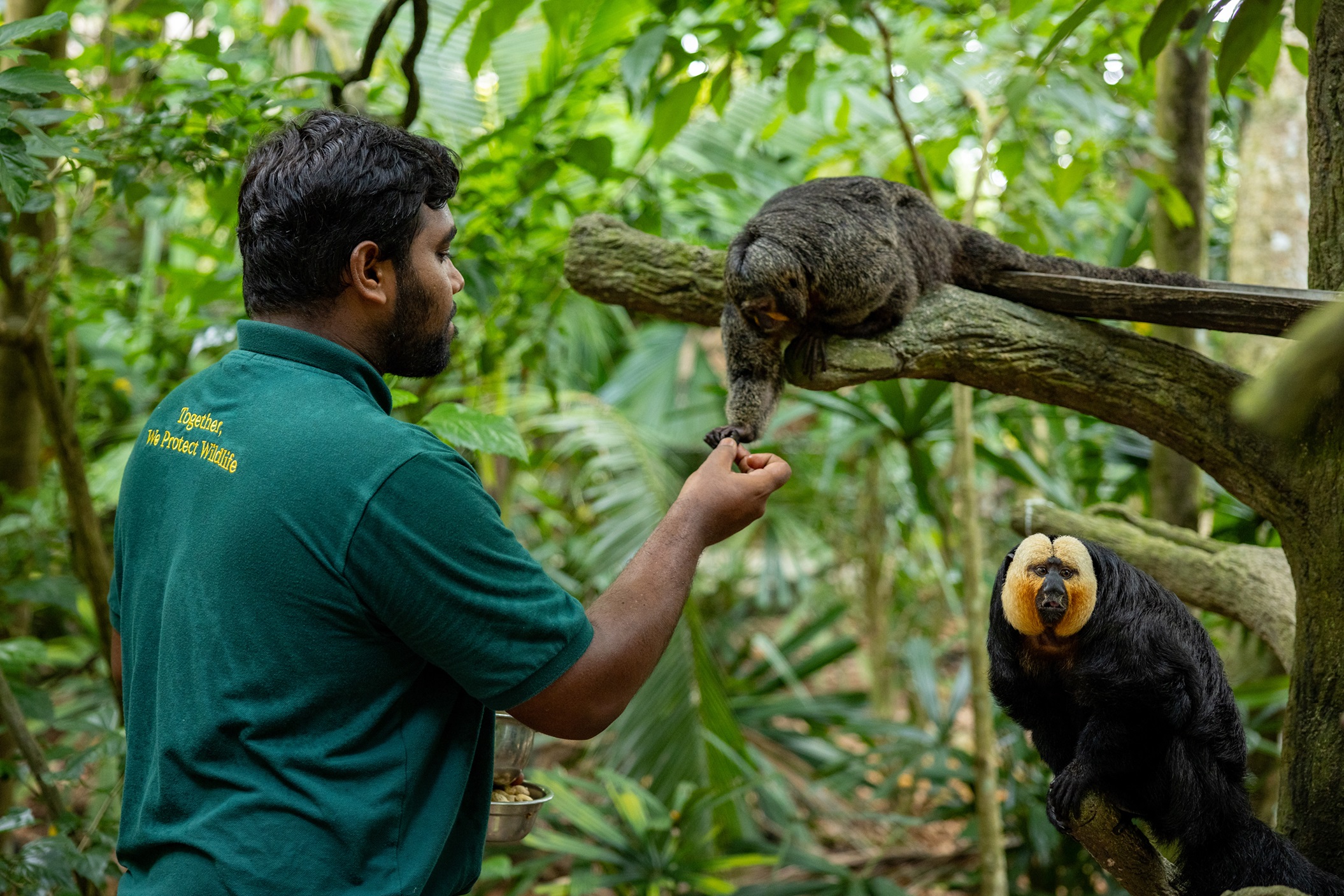 River Wonders celebrates 10 years of aquatic wonders