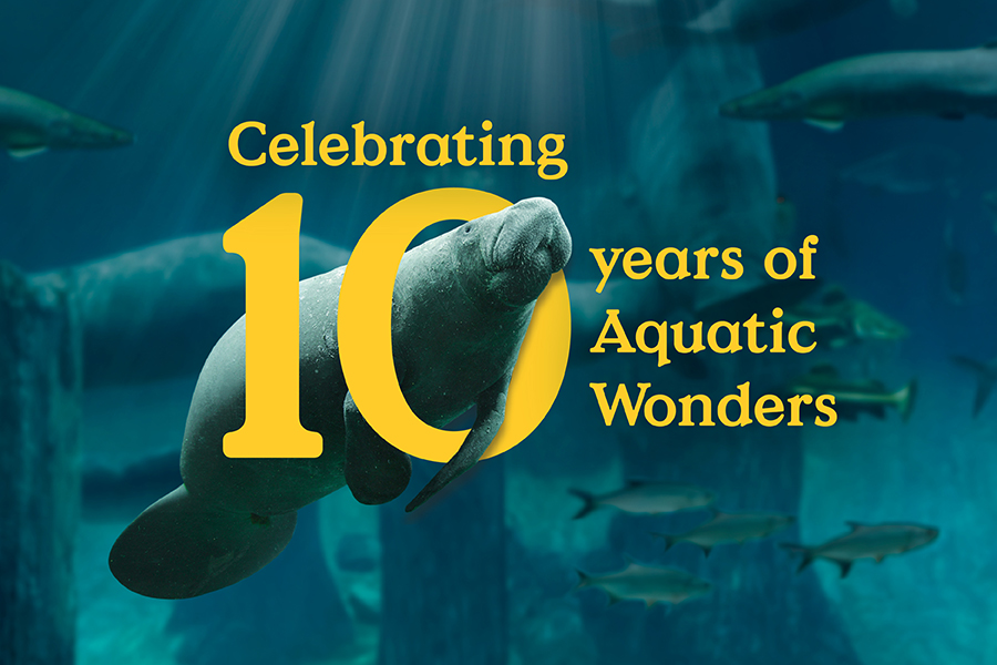 River Wonders celebrates 10 years of aquatic wonders