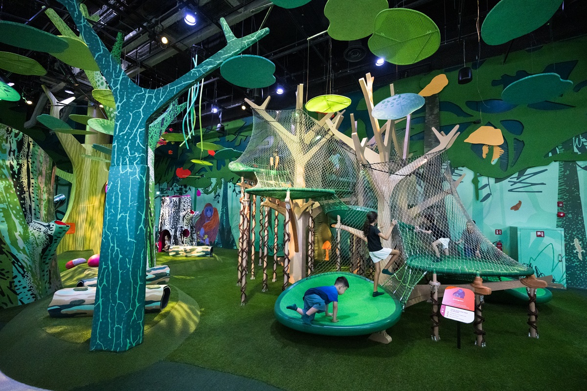 Singapore's largest indoor nature-inspired playscape, Curiosity Cove ...