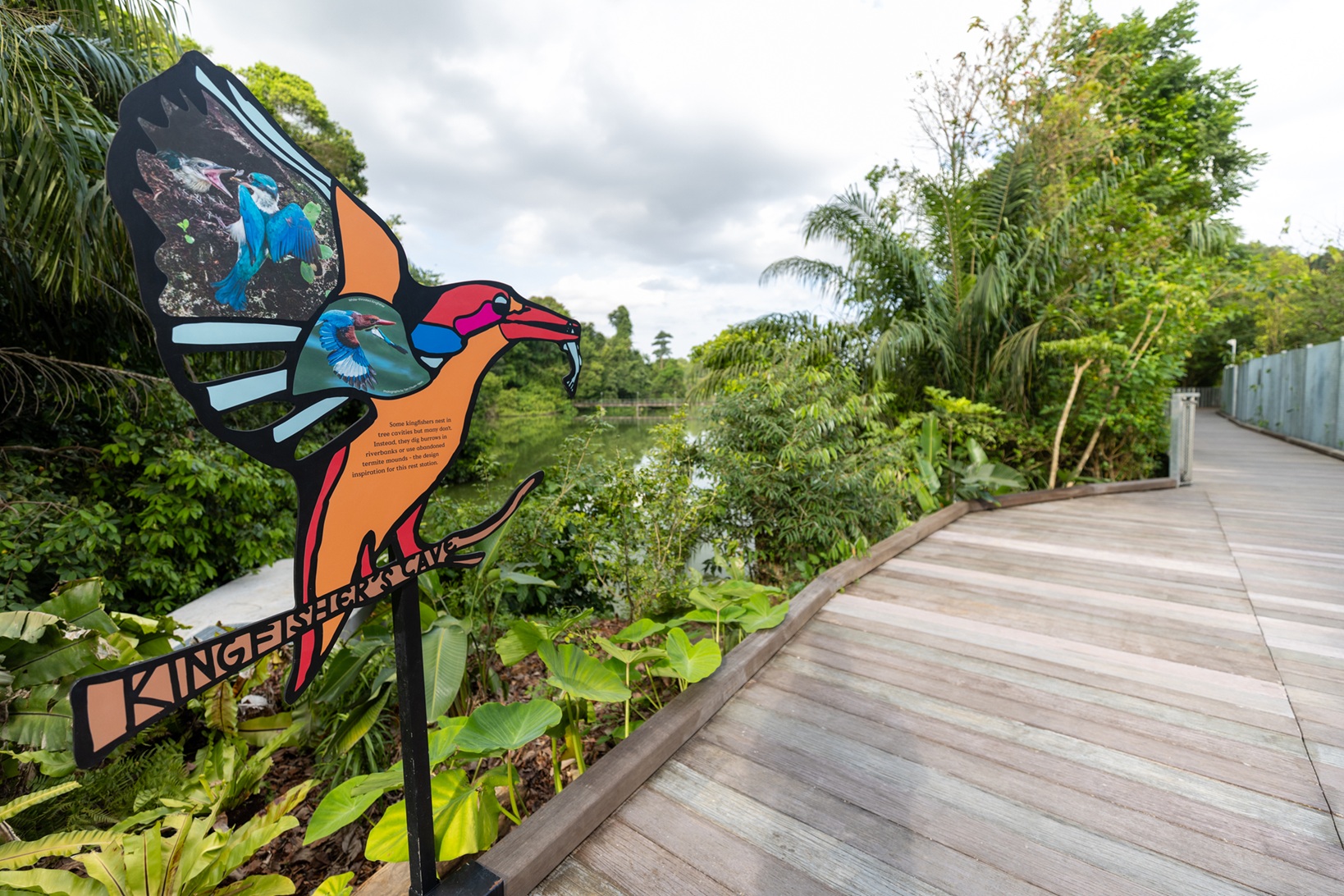 The Mandai Boardwalk opens to the public, adding more opportunities for ...