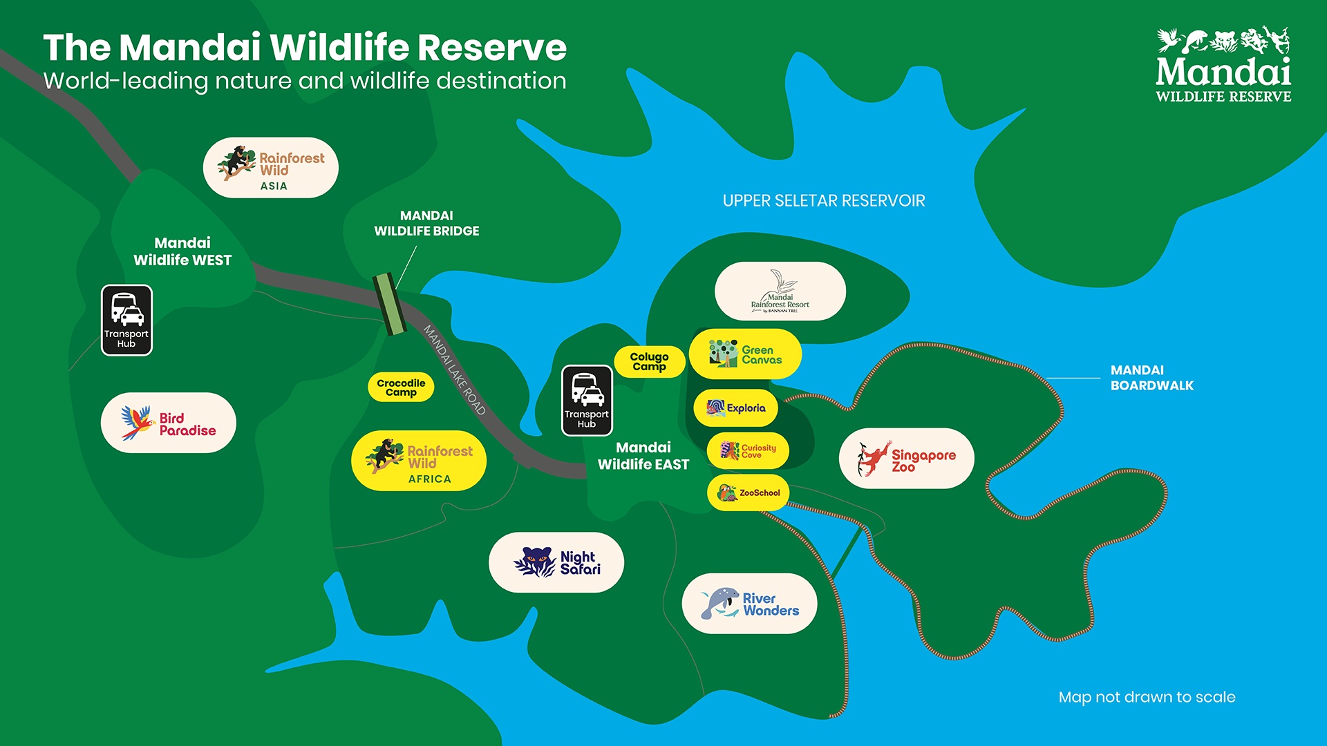 Registrations open for Asia's first ZooSchool at the Mandai Wildlife ...