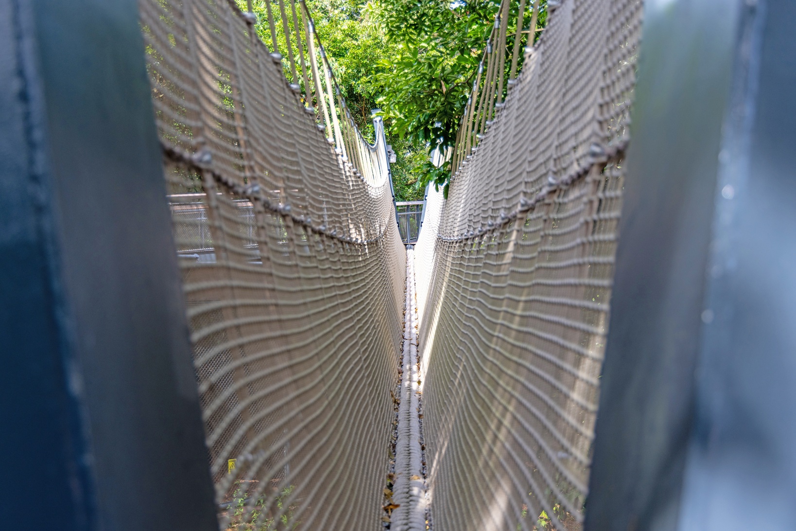 Singapore's Rainforest Wild Asia to welcome the public from 12 March 2025