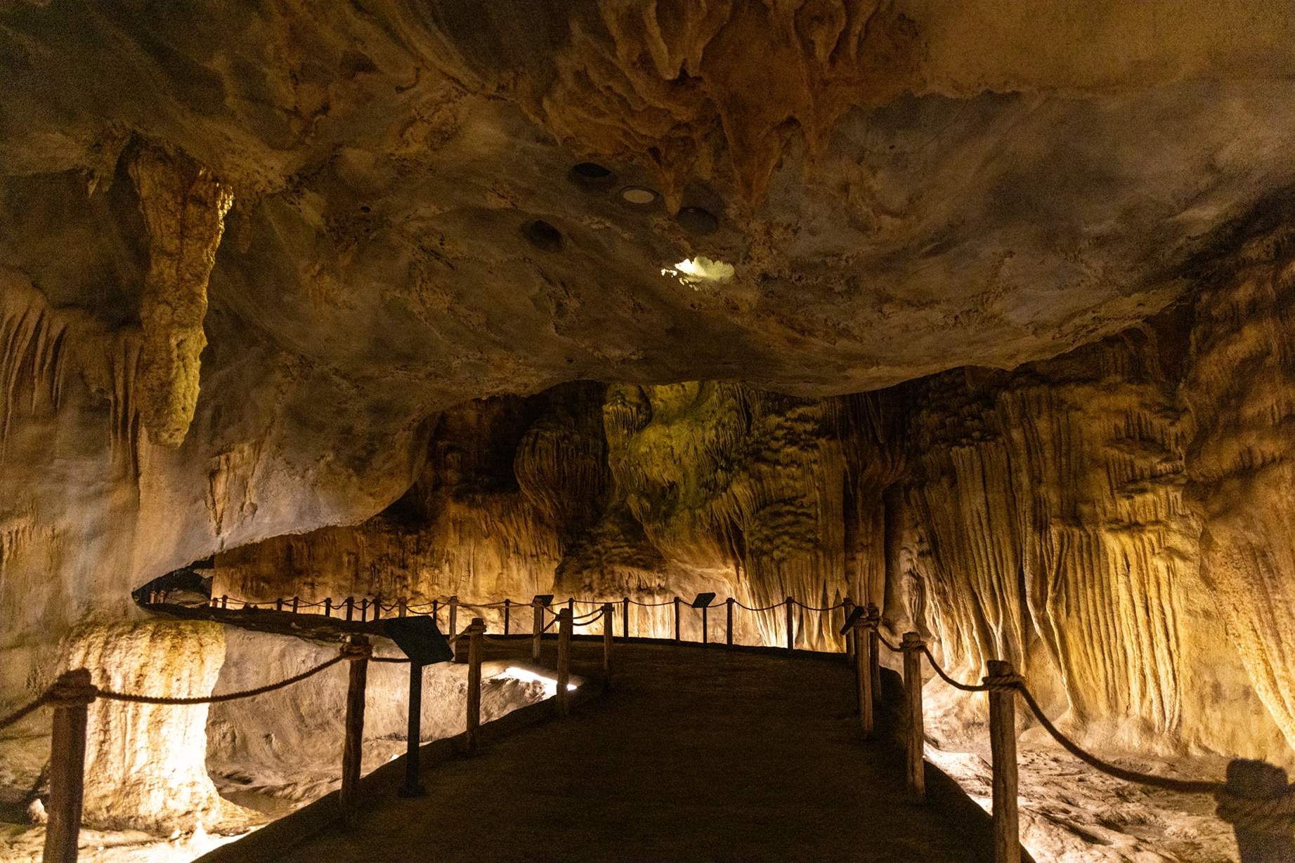 Singapore's Rainforest Wild Asia to welcome the public from 12 March 2025