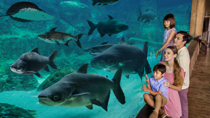 Buy Tickets | Mandai Wildlife Reserve