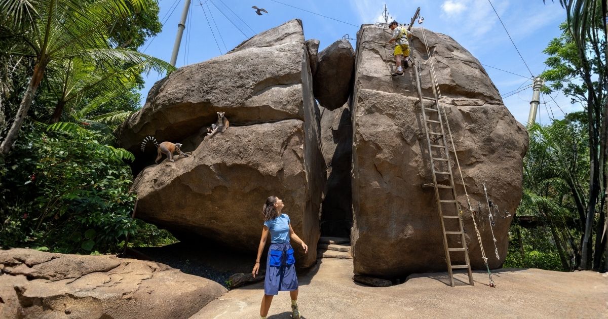 Rainforest Wild Adventure | The Mandai Wildlife Reserve