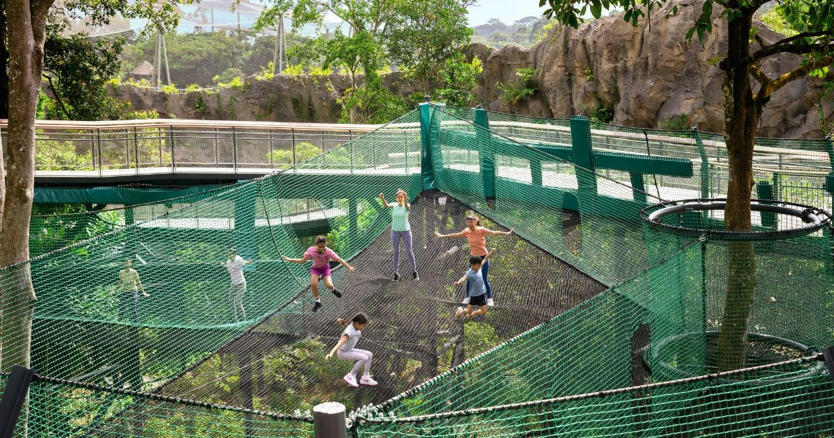 AIA Vitality Bounce - Rainforest Wild ASIA | Mandai Wildlife Reserve