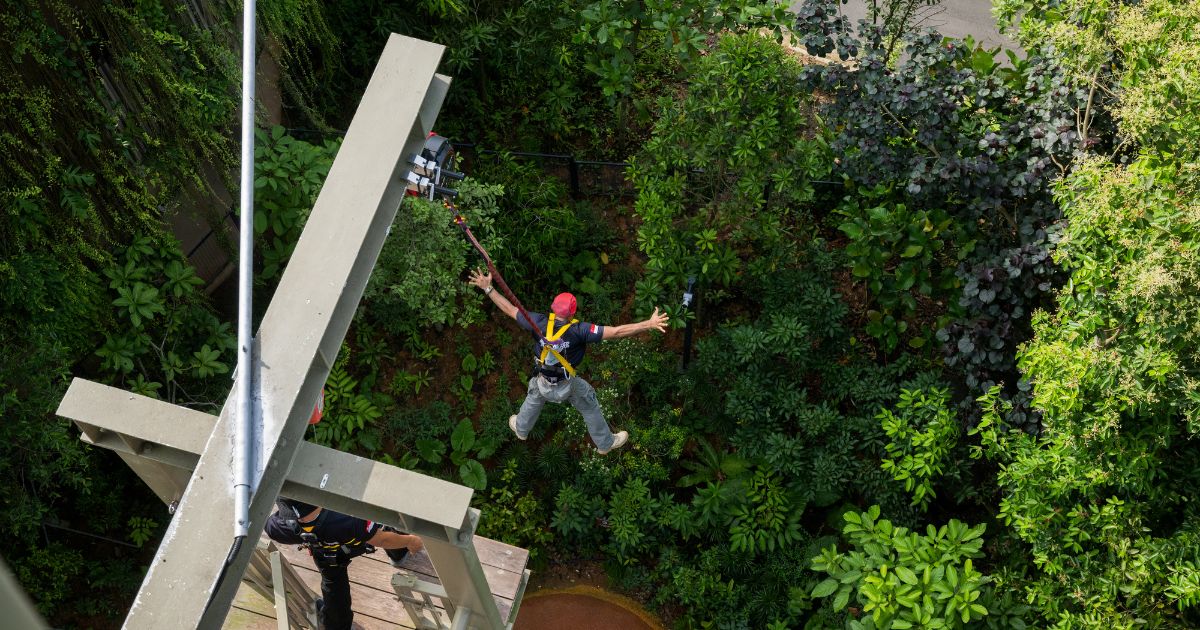 Canopy Jump - Rainforest Wild ASIA | Mandai Wildlife Reserve