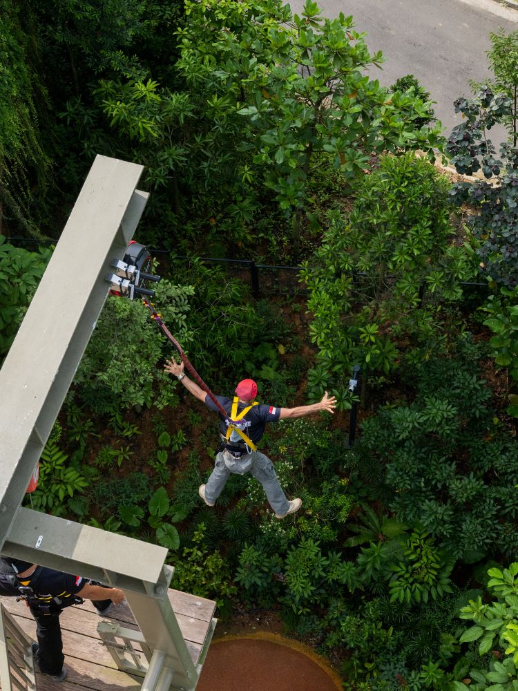 Canopy Jump - Rainforest Wild ASIA | Mandai Wildlife Reserve
