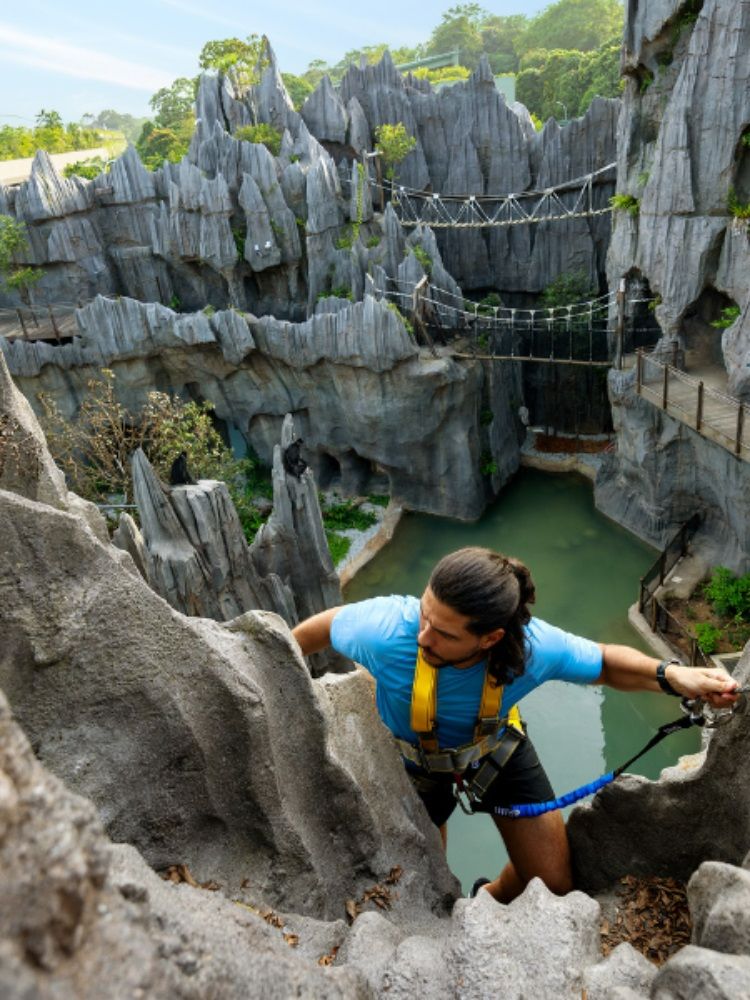 Wild Apex Adventure - Rainforest Wild ASIA | Mandai Wildlife Reserve