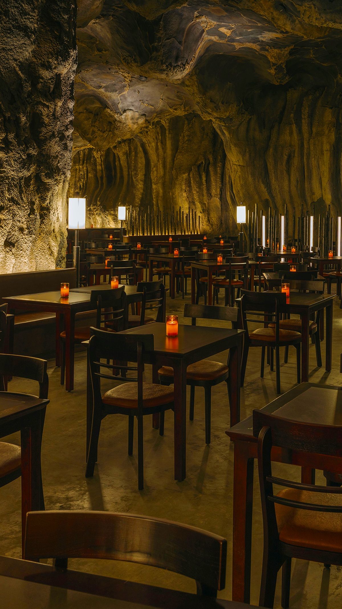 Cavern Restaurant - Rainforest Wild ASIA | Mandai Wildlife Reserve