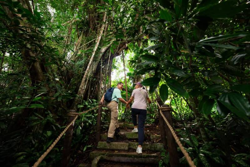 Rainforest Wild ASIA - Know Before You Go | Mandai Wildlife Reserve
