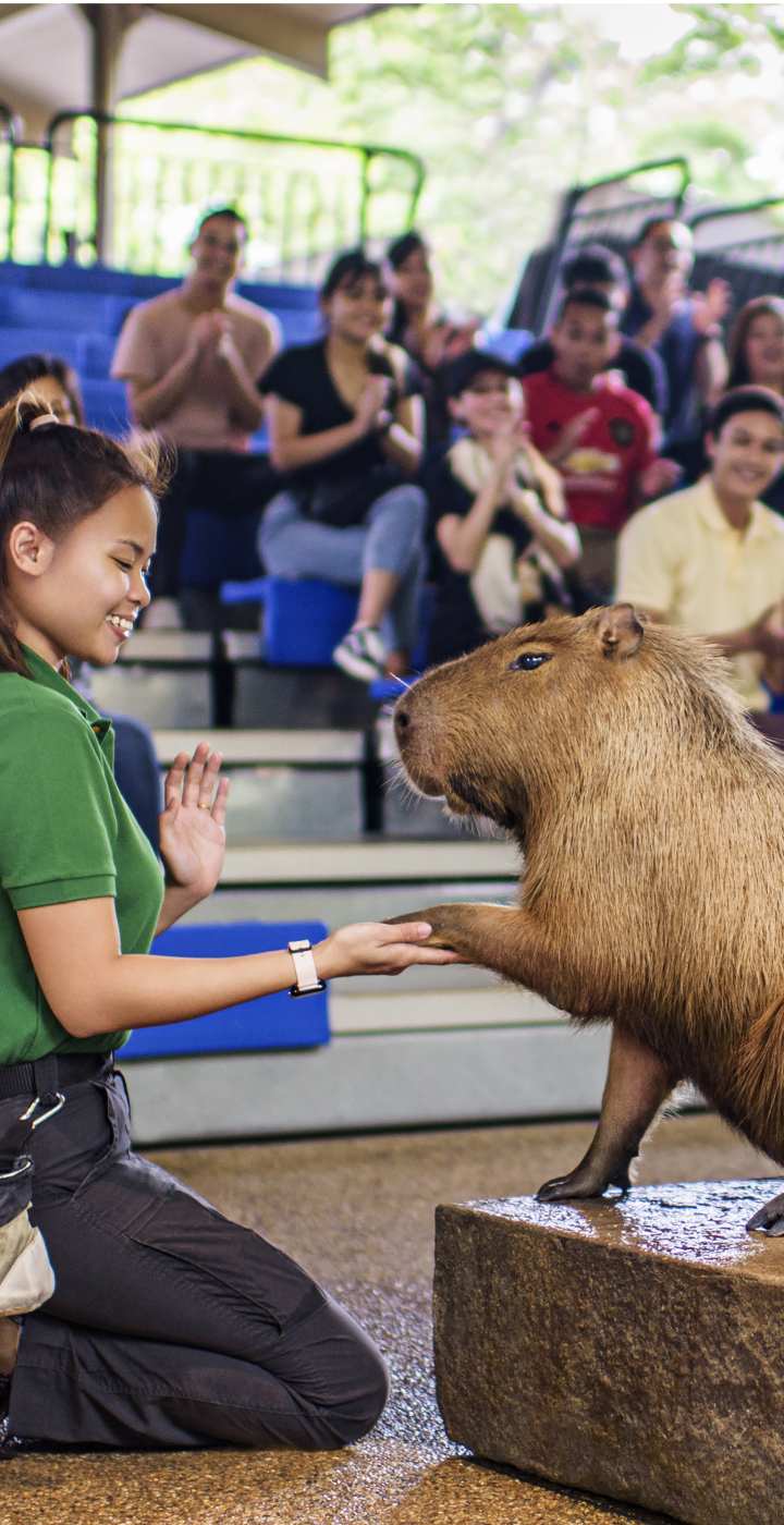 Once Upon a River - River Wonders | Mandai Wildlife Reserve
