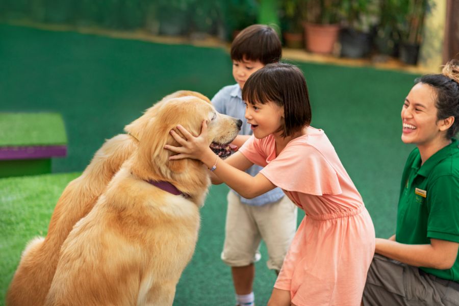 Animal Buddies - Singapore Zoo
