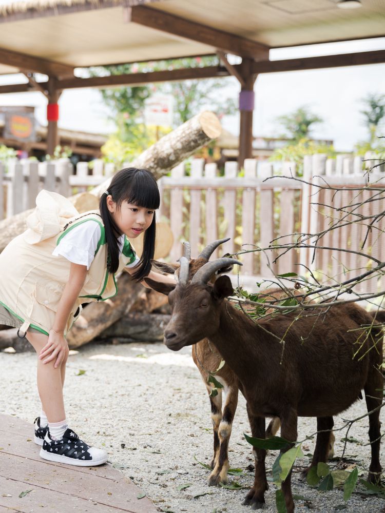 Animal Land - Singapore Zoo