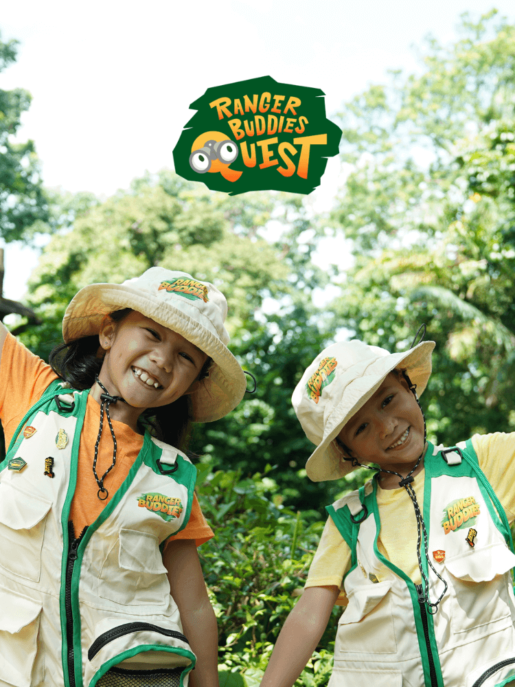 Ranger Buddies Quest | Mandai Wildlife Reserve