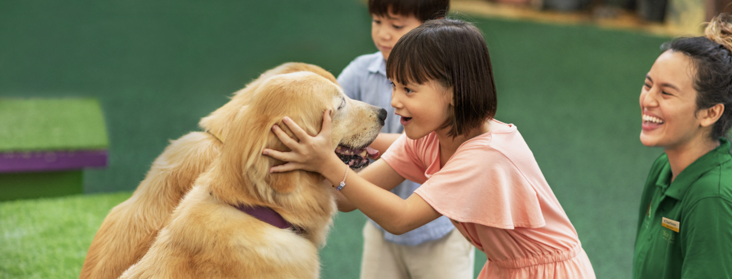 Animal Friends Presentation | Mandai Wildlife Reserve