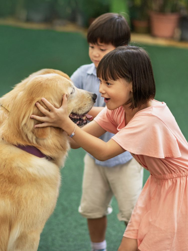Animal Friends Presentation | Mandai Wildlife Reserve