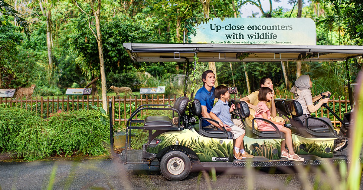 Zoo Adventure Tour - Singapore Zoo | Mandai Wildlife Reserve
