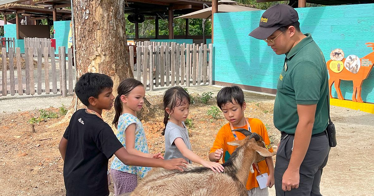 Wild Zoo Day Stay Package - Mandai Rainforest Resort