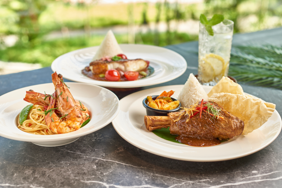 Mandai Boardwalk | Mandai Wildlfe Reserve