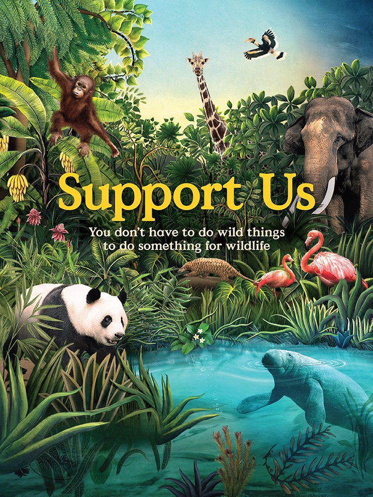 Support Us | Mandai Wildlife Reserve