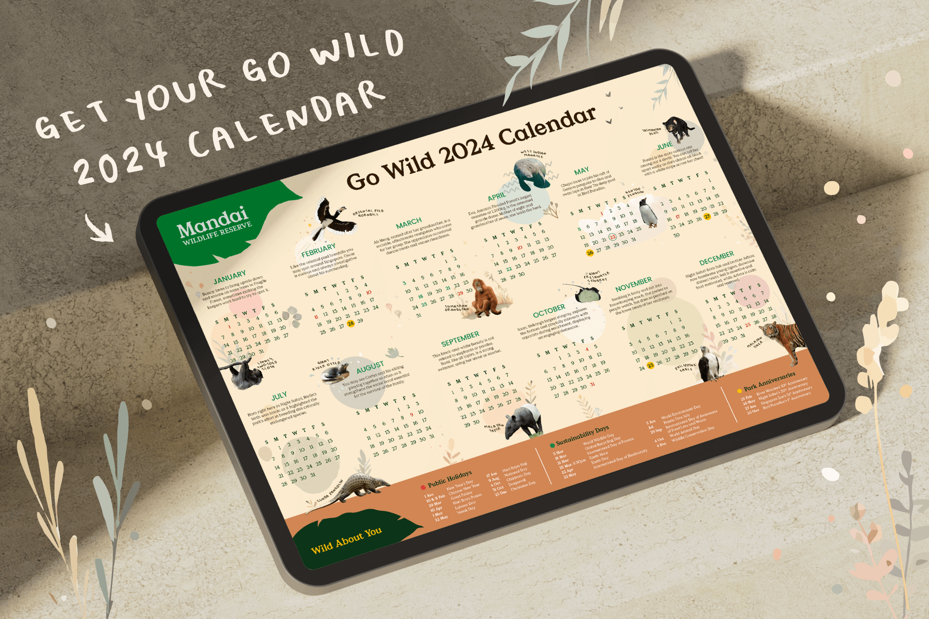 Sticker Packs, Wallpapers and Virtual Backgrounds | Mandai Wildlife Reserve