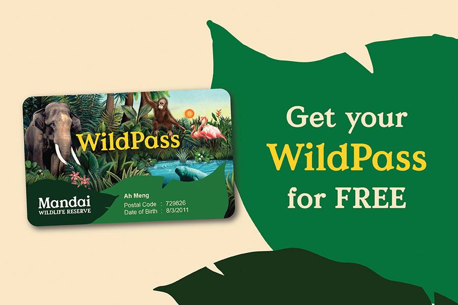 yuu Rewards Club | Mandai Wildlife Reserve