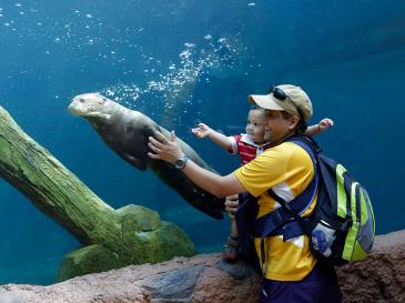 River Wonders - Know Before You Go | Mandai Wildlife Reserve