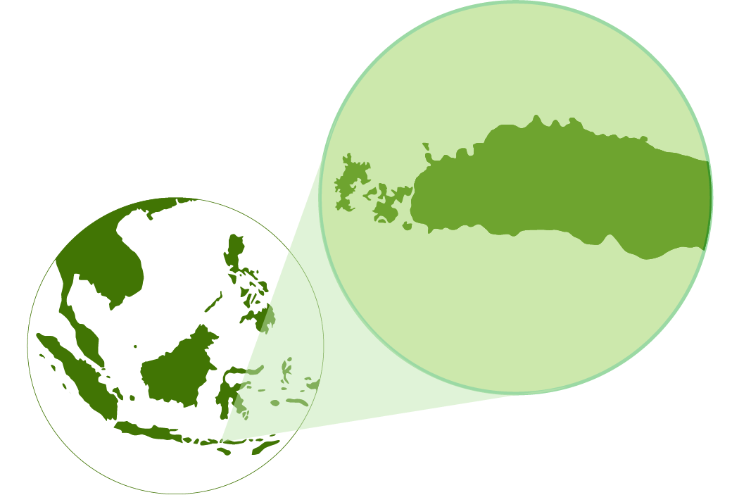 Komodo dragon - Singapore Zoo